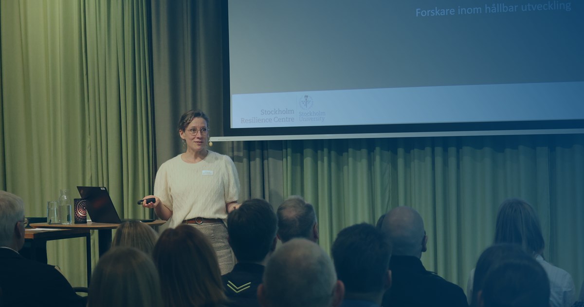Lisen Schultz om framtidens hållbara ledarskap | Västsvenska ...
